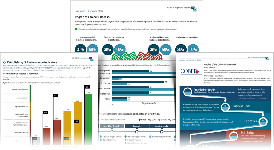 CEO-CIO Alignment Report | McLean & Company